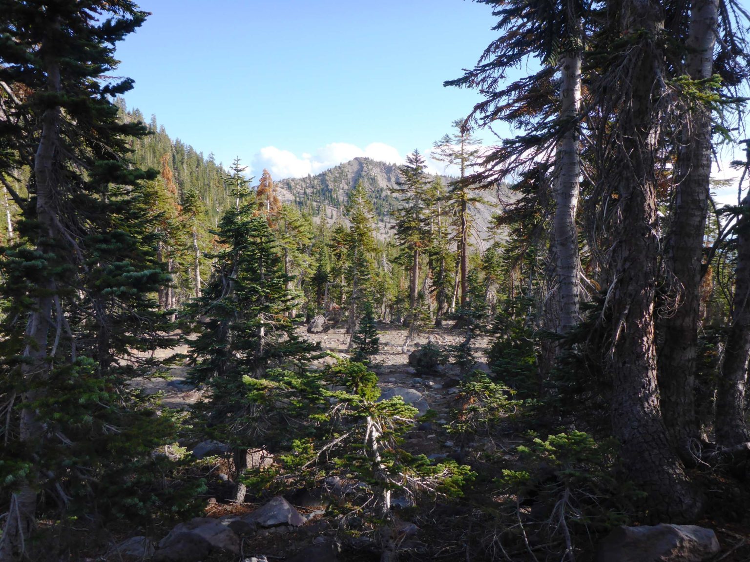 Gray Butte and Beyond, October 10, 2021